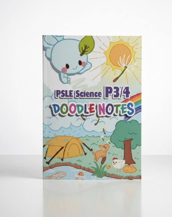 Primary 3 & 4 Science – Doodle Notes – Bluetree Education Shop