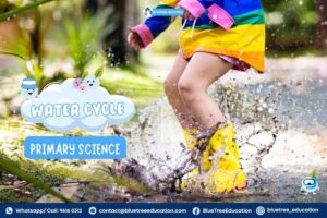 PSLE Water Cycle Questions: The Ultimate Parent Guide To Help Your ...