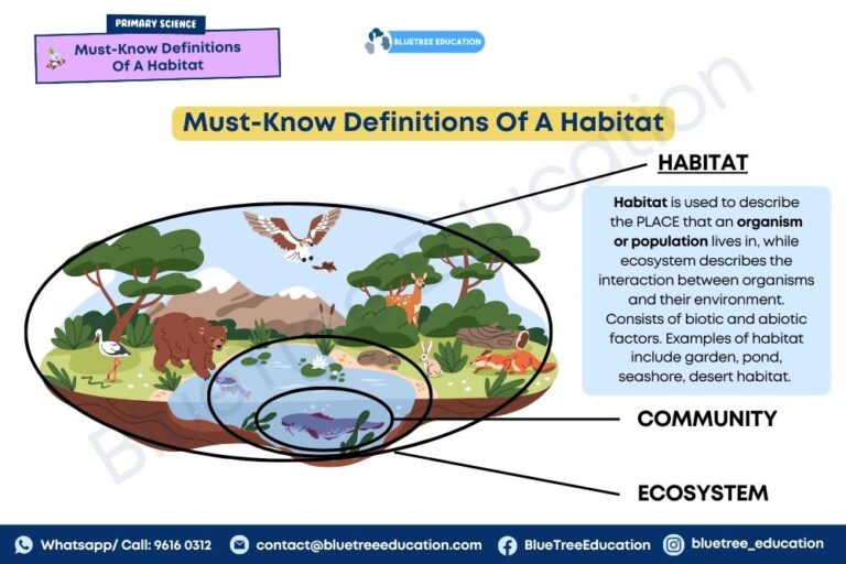 Must-Know Definitions of a Habitat: A Comprehensive Guide for PSLE ...