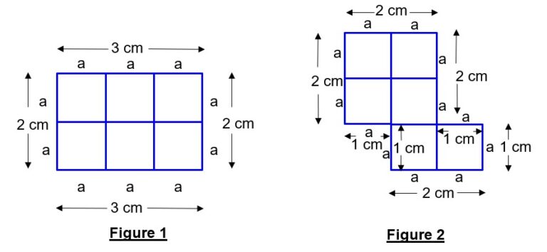 Understanding Area and Perimeter (Primary Math)