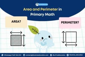 Understanding Area and Perimeter (Primary Math)