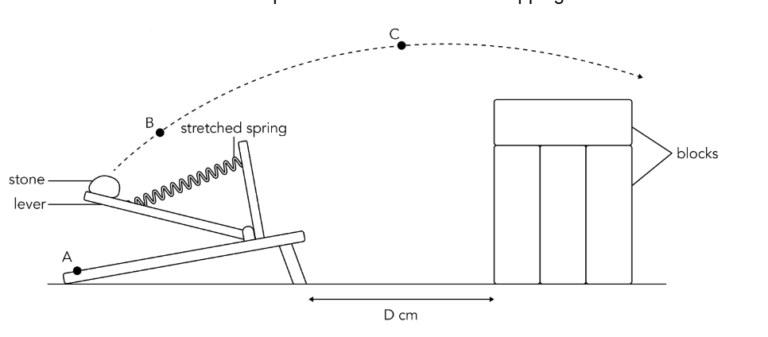 The Science Behind Trampolines: How Elastic Potential Energy Sends You ...