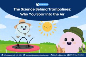 The Science Behind Trampolines: How Elastic Potential Energy Sends You ...