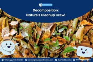 Decomposition Made Easy: Nature’s Cleanup Crew (With Free Notes ...