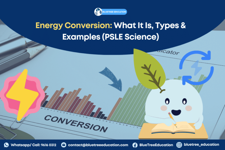 Energy Conversion: What It Is, Types & Examples (PSLE Science ...